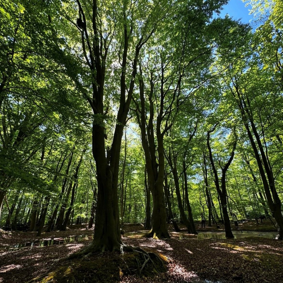 Gateway Academy - Year 10 Photography Trip - Our Environment!